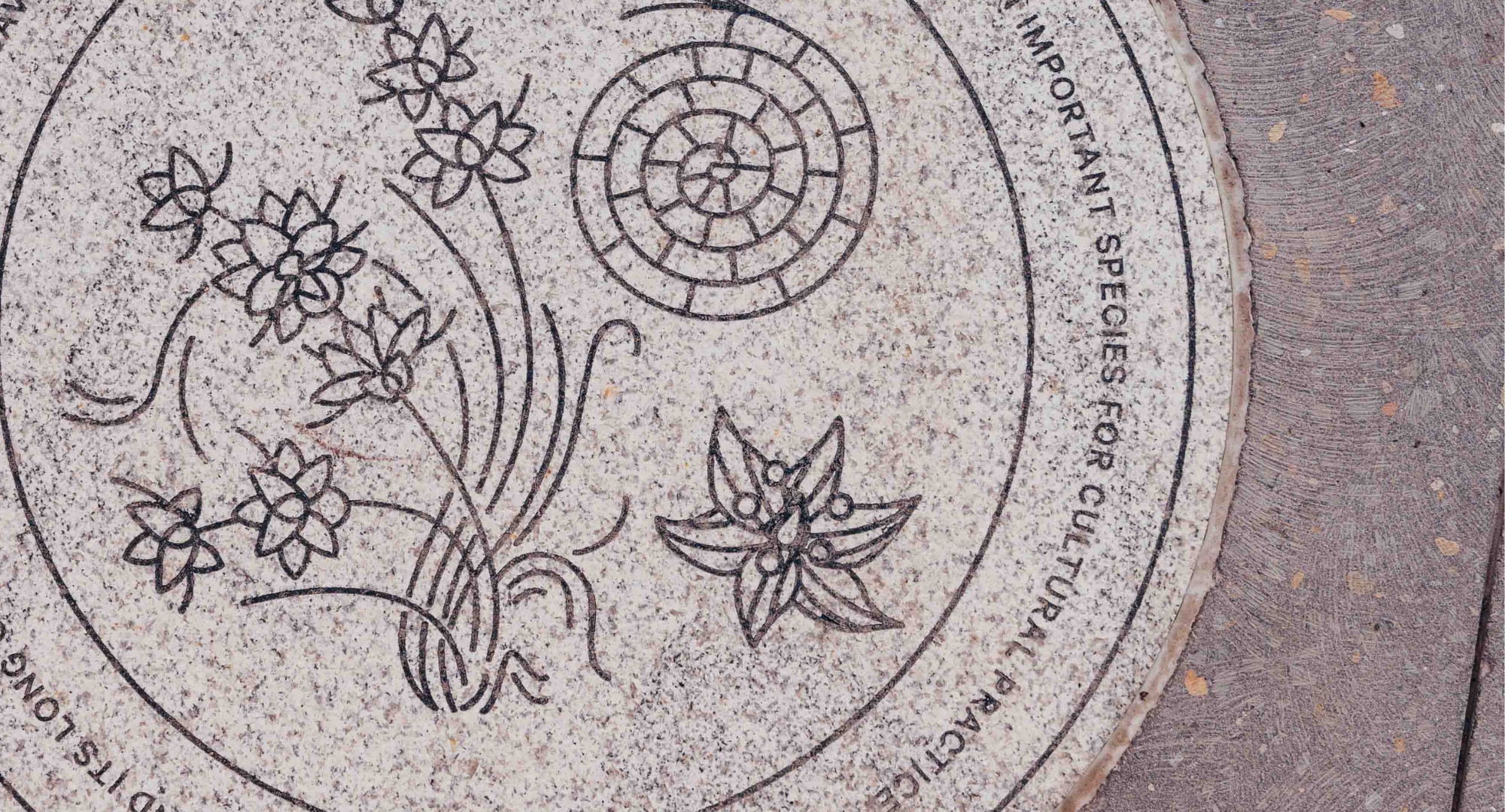 Bush Tucker Garden at Heritage Lanes